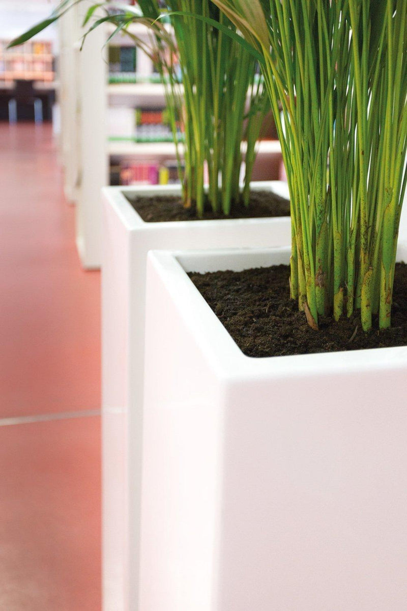 PREMIUM TOWER planting column, 40x40/120 cm, white – Kingplanters